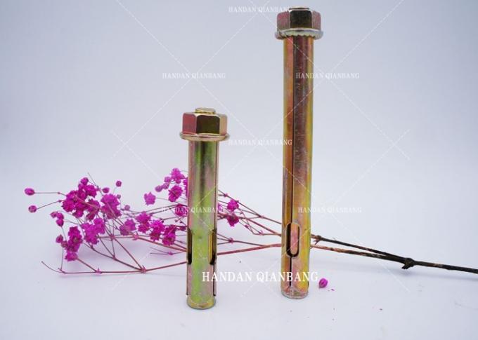 Fasteners Grade 4.8 Hex Head M8 Expansion Anchor Bolt